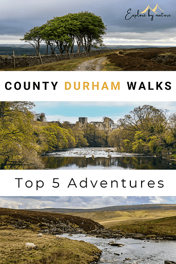 Top 5 County Durham Walks: Best Guide by a Local