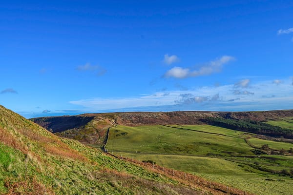 A Roseberry Topping Walk: Everything You Need to Know