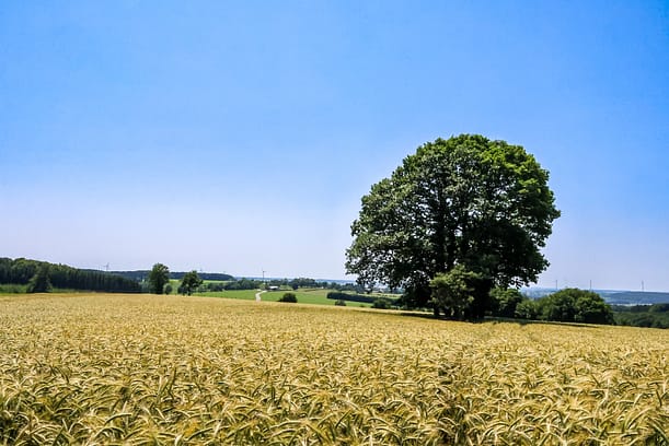 Reaching the Highest Point in Luxembourg: Visiting Kneiff