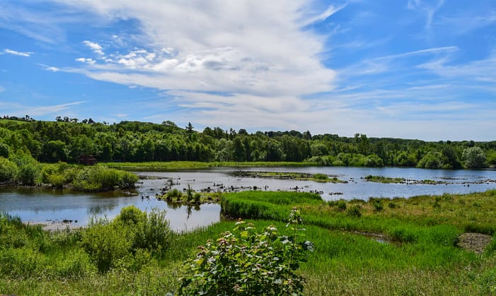 Top 5 County Durham Walks: Best Guide by a Local